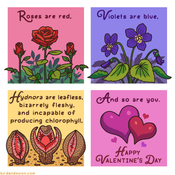 Botany Valentine — Rosemary Mosco