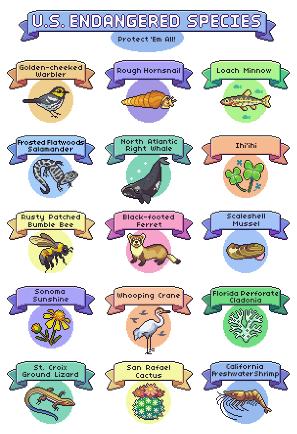 US Endangered Species Chart — Rosemary Mosco