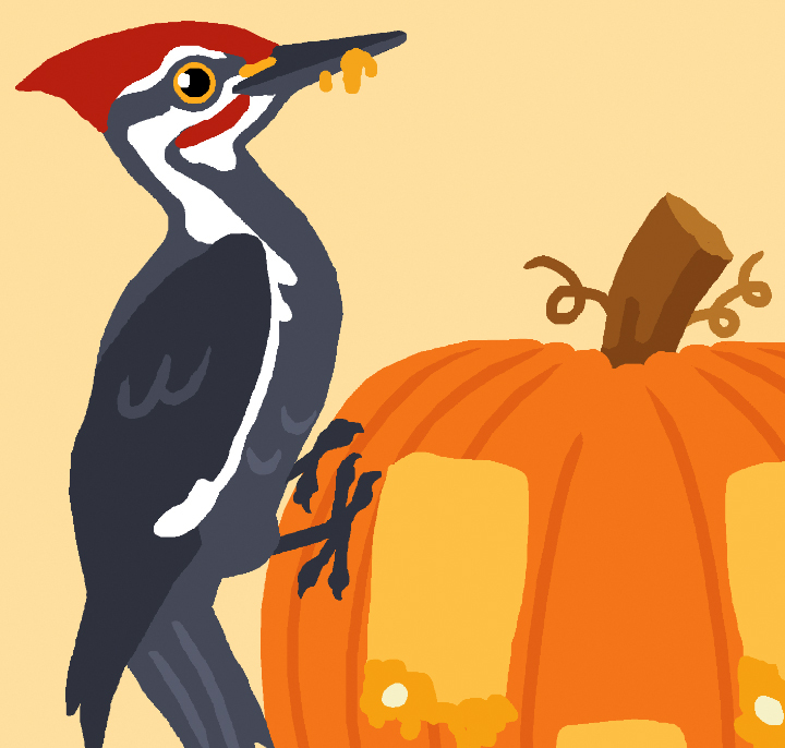 Happy Halloween From The Birds — Rosemary Mosco