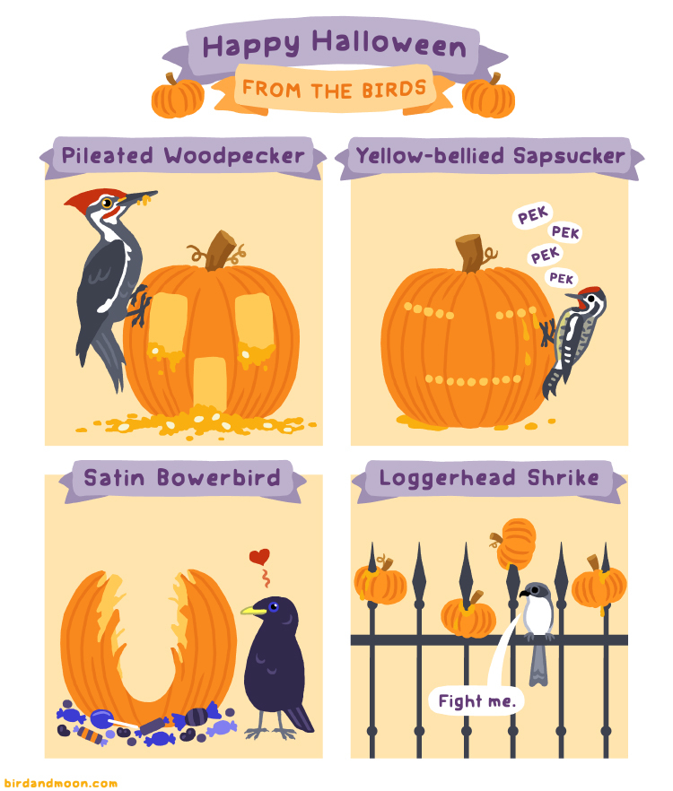 Happy Halloween From The Birds — Rosemary Mosco