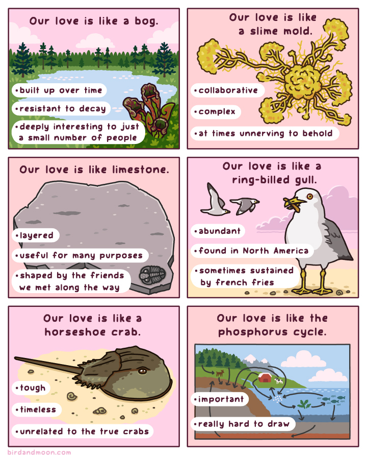 Valentine's Day for Naturalists — Rosemary Mosco