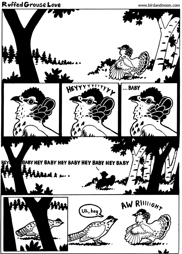 Ruffed Grouse Love — Rosemary Mosco
