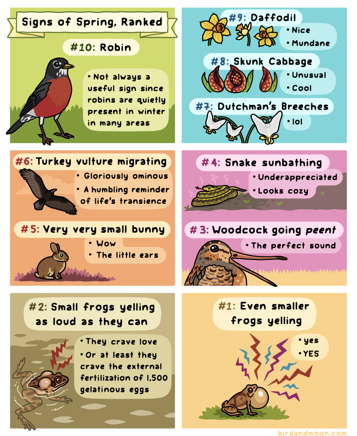 Signs of Spring Ranked — Rosemary Mosco