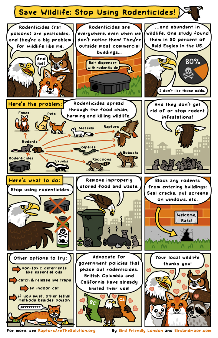 Rodenticide — Rosemary Mosco